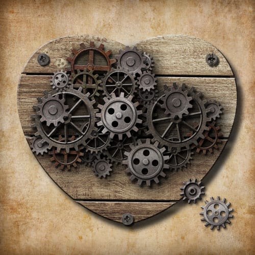 Support for Heart Health, Healthy Heart Supplements