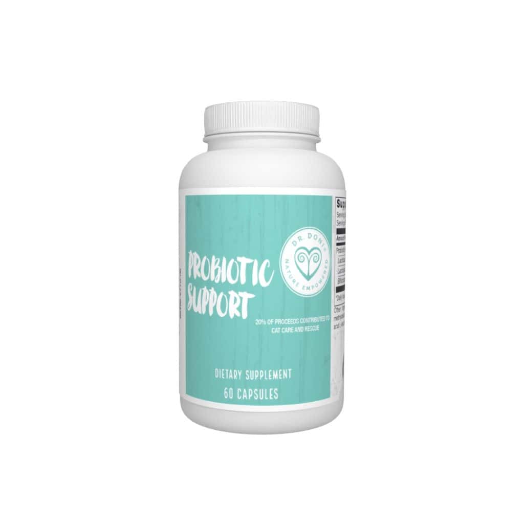 Probiotic Support – 50 Billion Probiotic Blend for Gut Health